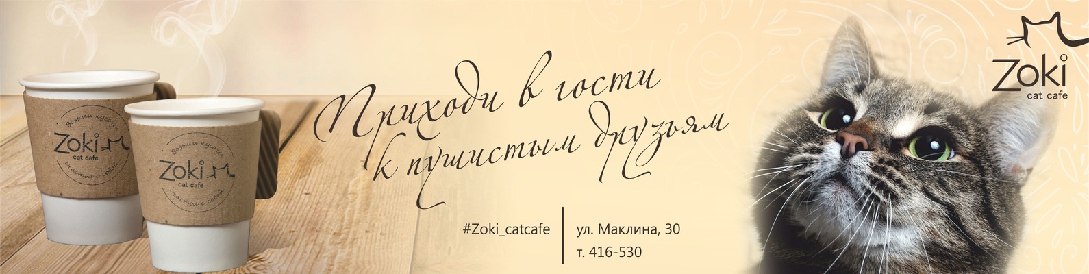 Zoki cat cafe котокафе Киров | ВКонтакте